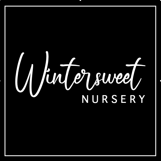 Wintersweet Nursery logo